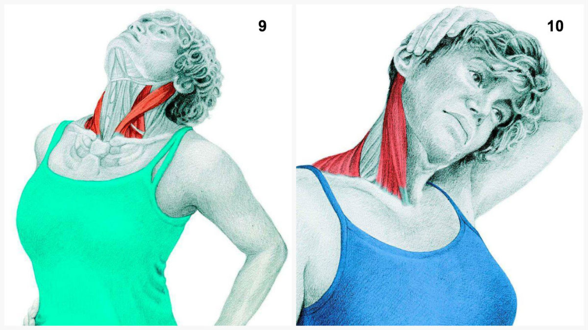 Neck Rotation Stretch – KT Lab 身心實驗室